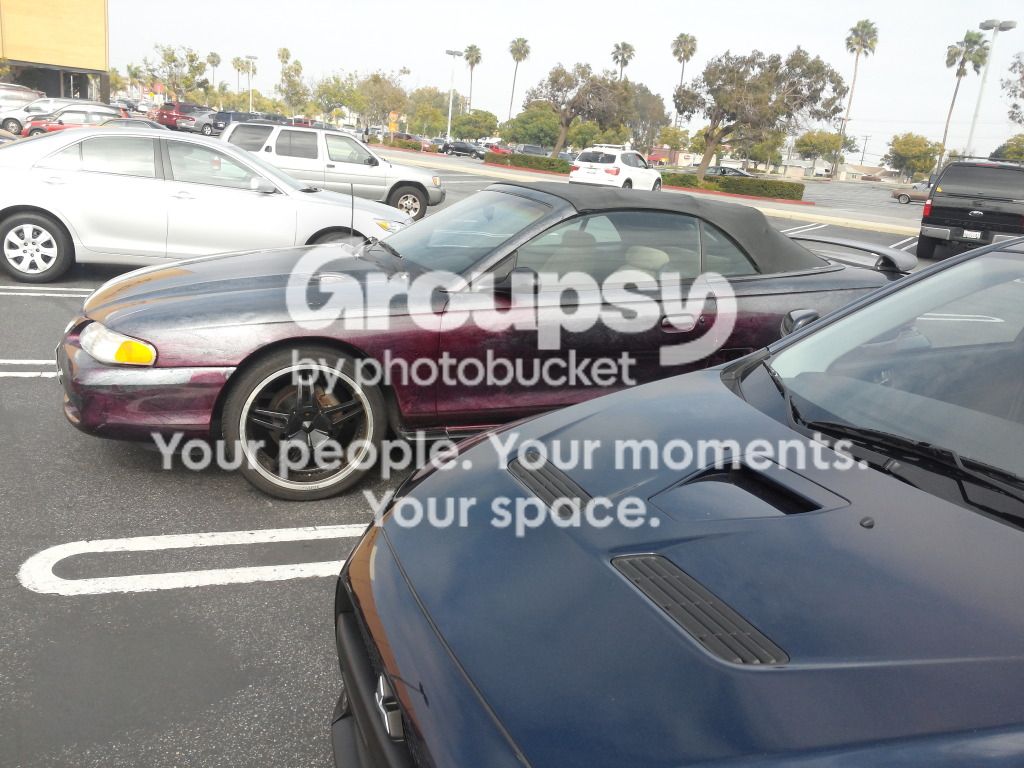 The Ghetto Donk Thread | Page 12 | 8th Generation Honda Civic Forum