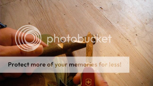 Try Stick Saturday | Bushcraft USA Forums