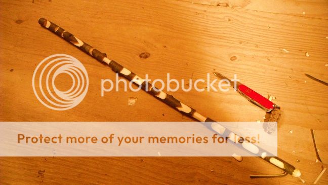 Try Stick Saturday | Bushcraft USA Forums